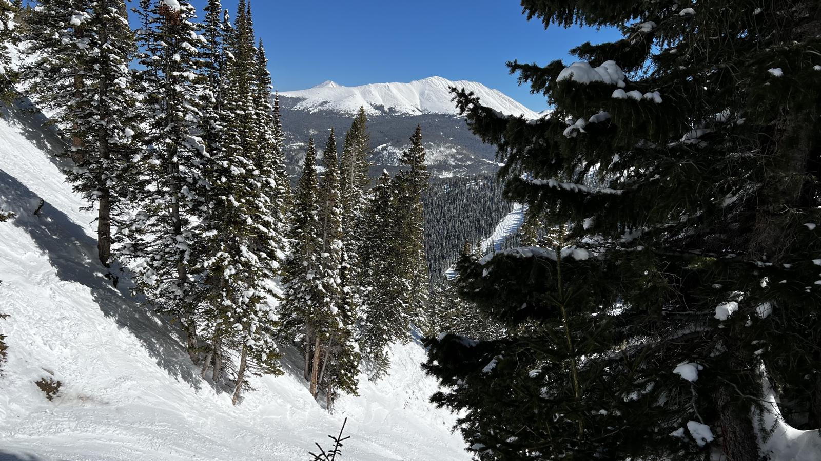 Photography by Wes - Photography by Wes